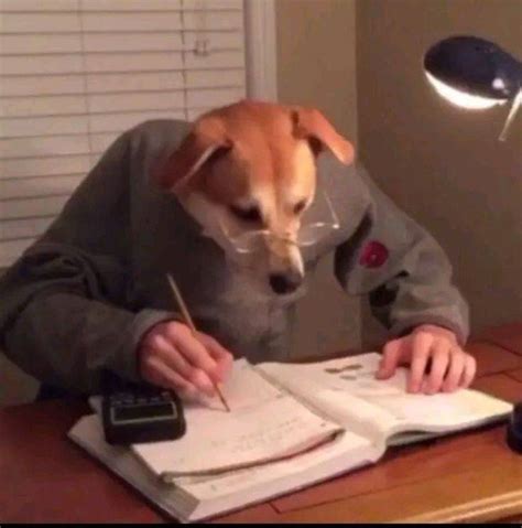 Be Me Working On My Assignment At 2 Am Submition Day After Having