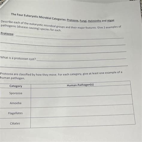 Solved The Four Eukaryotic Microbial Categories Protozoa