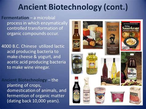 History Of Biotechnology 2015 Online Audio File Youtube