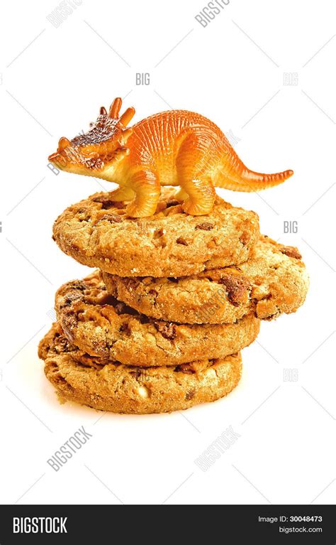 Cookie Dinosaur Image And Photo Free Trial Bigstock