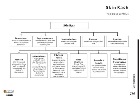 Papular Rash Differential