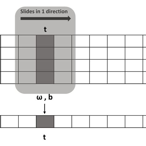 temporal evolution of convolutional filters in time series analysis