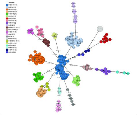 Minimum Spanning Tree Mst Of Wgmlst Profiles Of Heifer Isolates And