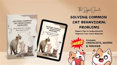 Solving Cat Behavior Problems A Comprehensive Guide To Understanding
