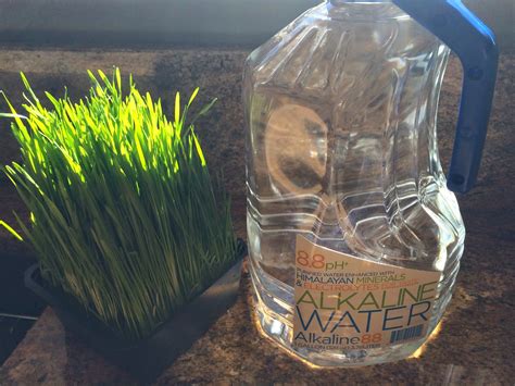 As Easy As Salt And Pepper Wheatgrass Shot Without The Fancy Extractor