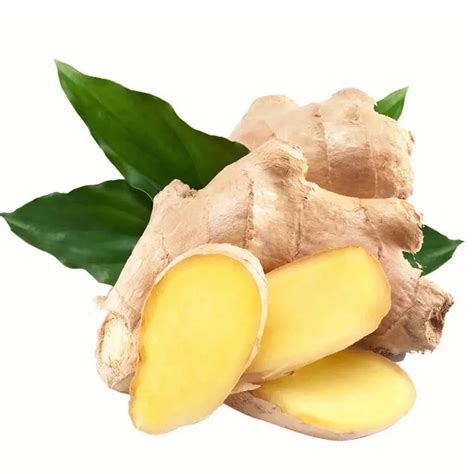 Ginger Extract What Are Its Benefits And How To Take It