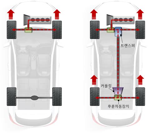 인플루언서 검색 엠에스리의 홈