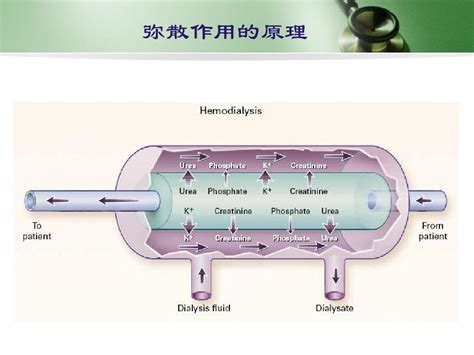 Crrt连续血液净化word文档在线阅读与下载无忧文档