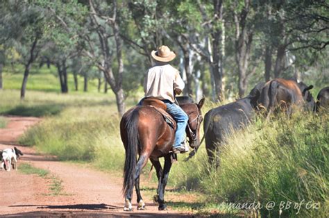 Magic Grass Bush Babe Of Oz