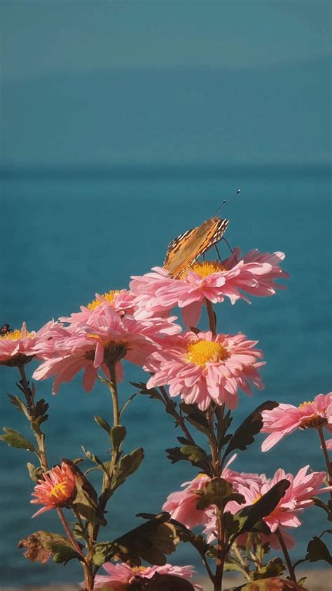 In Memoriam 🖤🕊️ Со длабока тага споделувам заедничко видео со мојот близок пријател и соработник