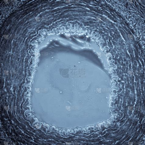 血管，动脉和静脉的显微照片