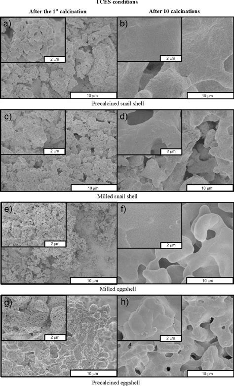 SEM Micrographs Of Precalcined Snail Shell And Milled Snail Shell After Download Scientific