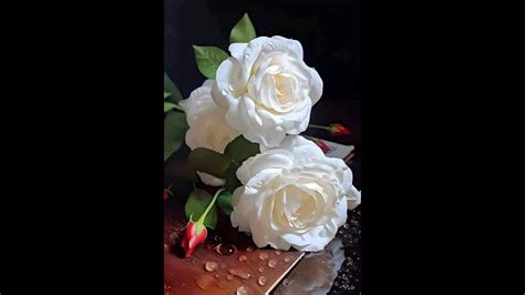 Programming Class05 Youtube