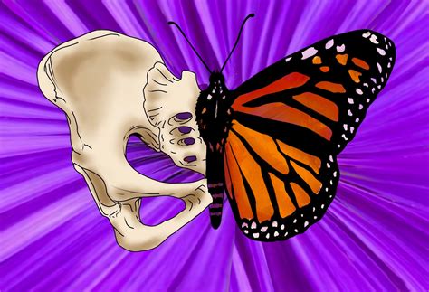 Home Balanced Anatomy Massage Therapy Clinic 4338 Main Street