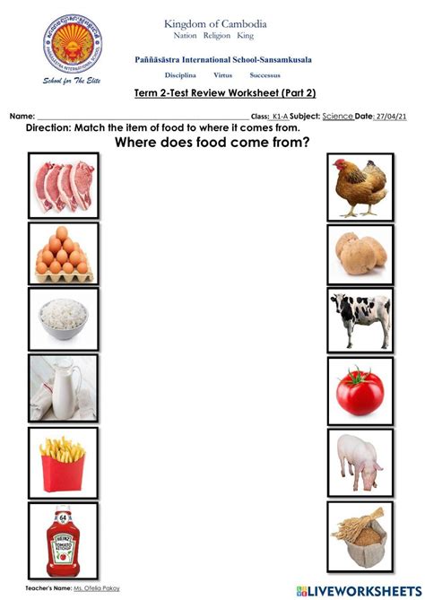 Where Does Food Come From Activity Worksheets Library