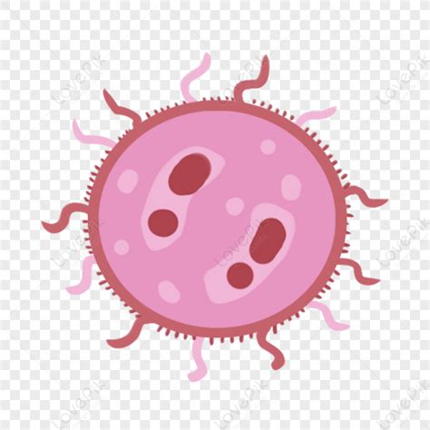 핑크 만화 일러스트 귀여운 박테리아 미생물아름다운벽지 Png 일러스트 무료 다운로드 Lovepik