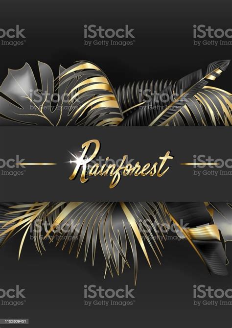 어두운 배경에 검은 색과 금색 열 대 잎 벡터 서클 배너입니다 화장품 스파 향수 뷰티 살롱 여행사 꽃집 상점 열대우림 검은색에 대한 스톡 벡터 아트 및 기타 이미지 Istock