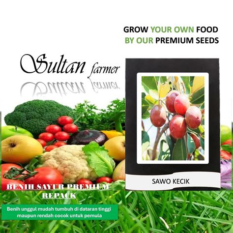 Jual 10 Benih Bibit Buah Biji Sawo Kecik Shopee Indonesia