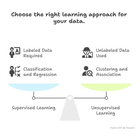 Top 7 Powerful Differences Supervised Vs Unsupervised Learning