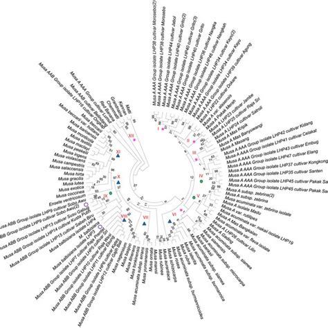 The Relative Distribution Of Inter Specific Divergence Between