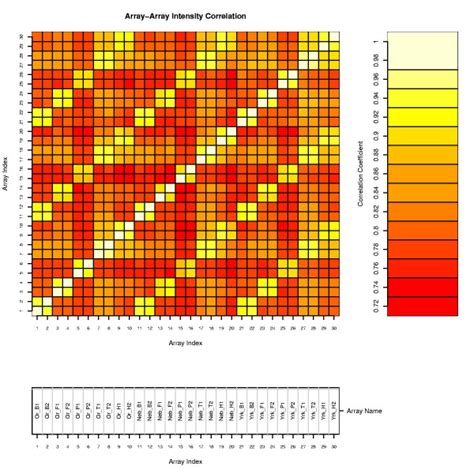 Heat Map Plot Of Array Array Correlation Coefficients The Spearman Download Scientific Diagram