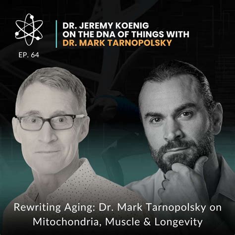 The Mitochondrial Clock Rewriting Aging From The Powerhouse Within