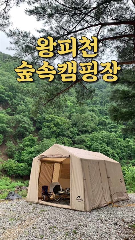 울진 왕피천숲속캠핑장 애견동반 숲속 계곡 뷰맛집 우중캠핑 후기 네이버 블로그