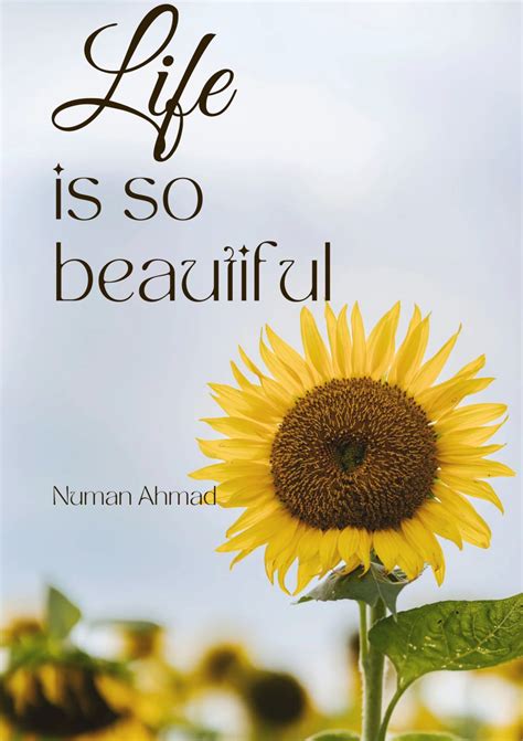 Muhammad Numan Posted On Linkedin