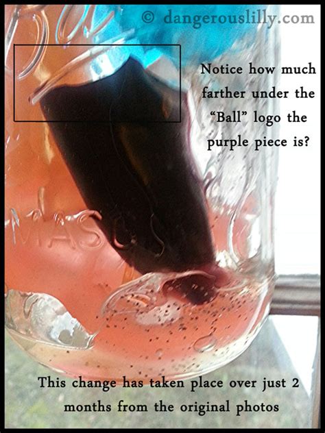 Melted Sex Toys Dangerous Lilly