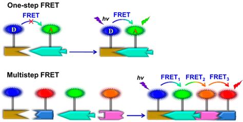 Multi Step Fret Systems Based On Discrete Supramolecular Assemblies