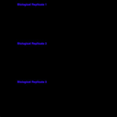 Figure S1 Correlation Between Biological Replicates A Plot Showing