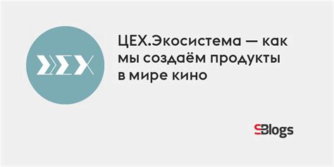 ЦЕХ Экосистема — как мы создаём продукты в мире кино о блоге