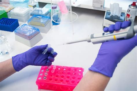 Gene Arrays Innovative Discoveries Gene Arrays Innovative Discoveries