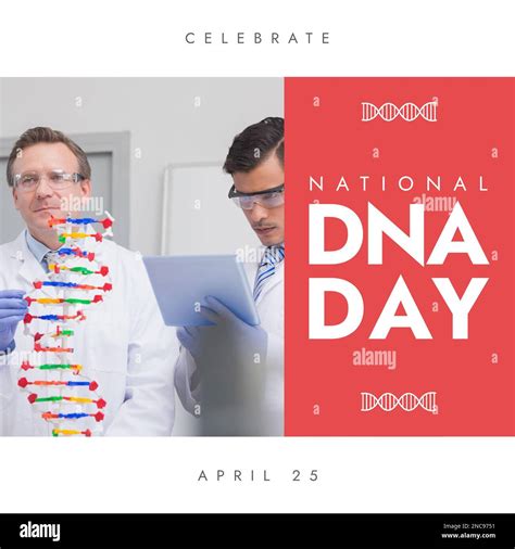 Composition Of Dna Day Text Over Scientists With 3d Model Of Dna Strand