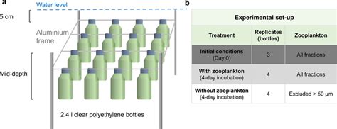 Schematic Figure Of The Experimental Grazing Set Up Showing Bottles Download Scientific