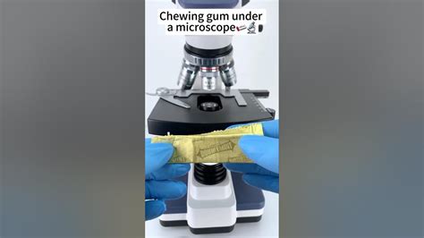 Chewing Gum Under The Microscope Shorts Facts Science Youtube