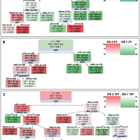 decision trees dt to predict an os 3 years a 5 years b and