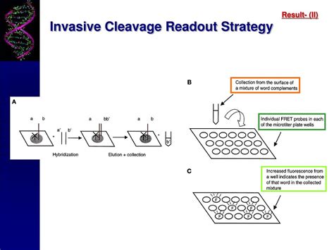 Ppt A Dna Computing Readout Operation Based On Structure Specific