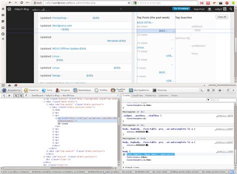 I Have Problem With Displaying Cyrillic Text In Dashboard Wordpress