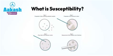 What Is Susceptibility Definition Meaning And Faqs