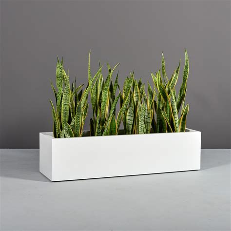 Rectangular Planters Creative Design Manufacturing