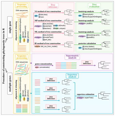 Bioengineering An Open Access Journal From Mdpi