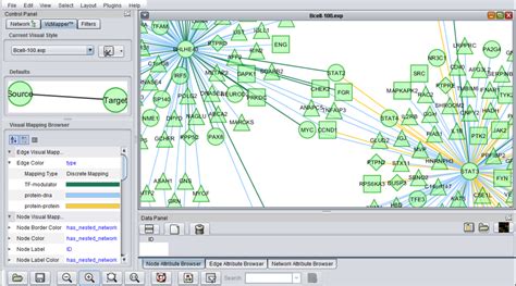 Cytoscape Network Viewer Geworkbench