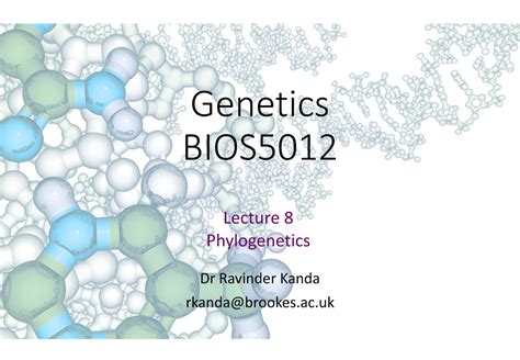 Lecture 8 Phylogenetics Notes Genetics Bios Drravinder Kanda Rkanda Brookes Ac Lecture 8