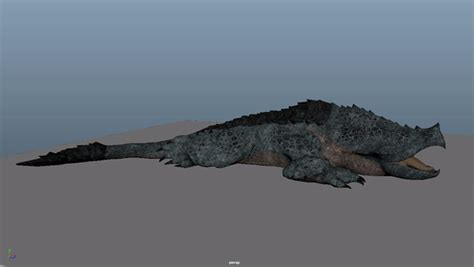 Swamp Snapper Basking