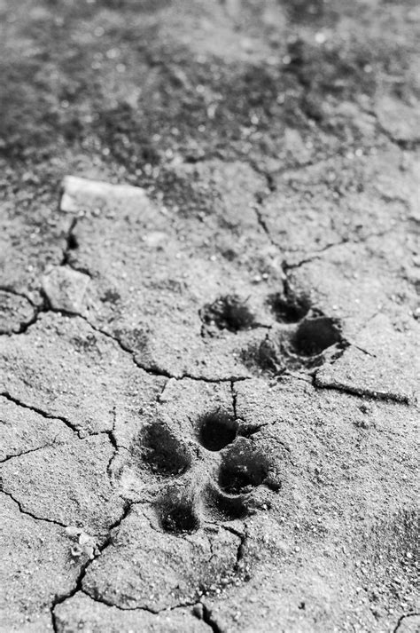 금이 간 벽의 클로즈업 사진 Unsplash의 무료 토양 분해 이미지