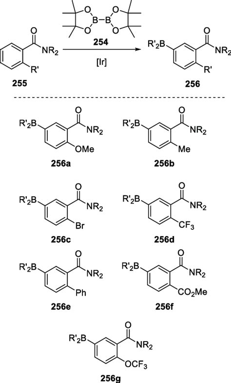 A Concept Of Hb Directed Selective C−h Activation And B Urea