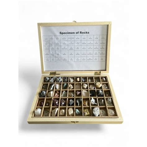 Specimen Of Rocks 50 Piece Geological Sample Kit Delta Educational