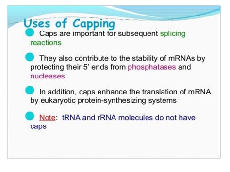 Rna Processing Post Transcriptional Modifications Splicing Capping