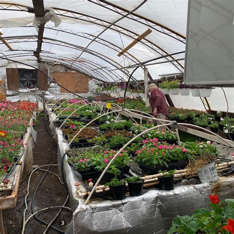 Kathryns Flowers Delaware Seaford De